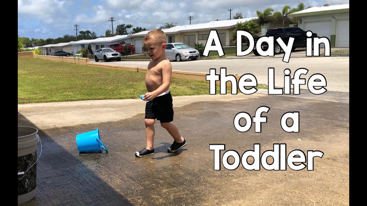 A Day in the Life of a Toddler - YouTube