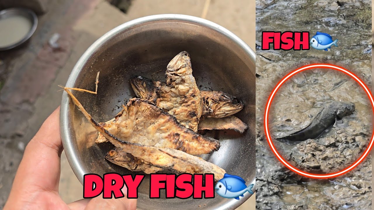 Bahut din ka baad khaya ଶୁଖୁଆ 🐟 🐠 sukha Machi (dry fish) kabhi try kiya ...