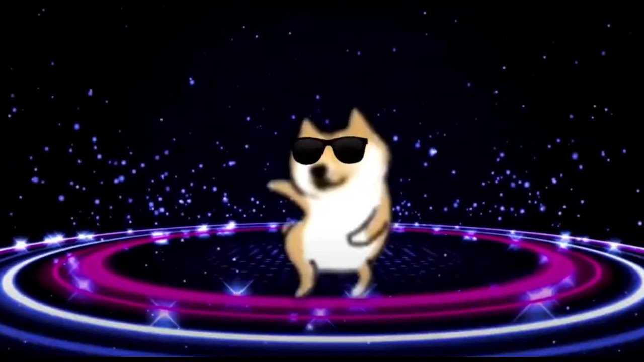 Dancing dog memes 😂 - YouTube