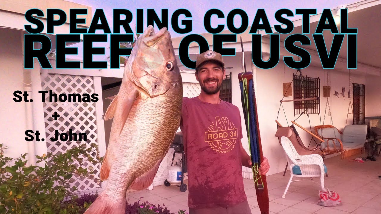 Spearfishing St. Thomas and St. John 2024 - YouTube