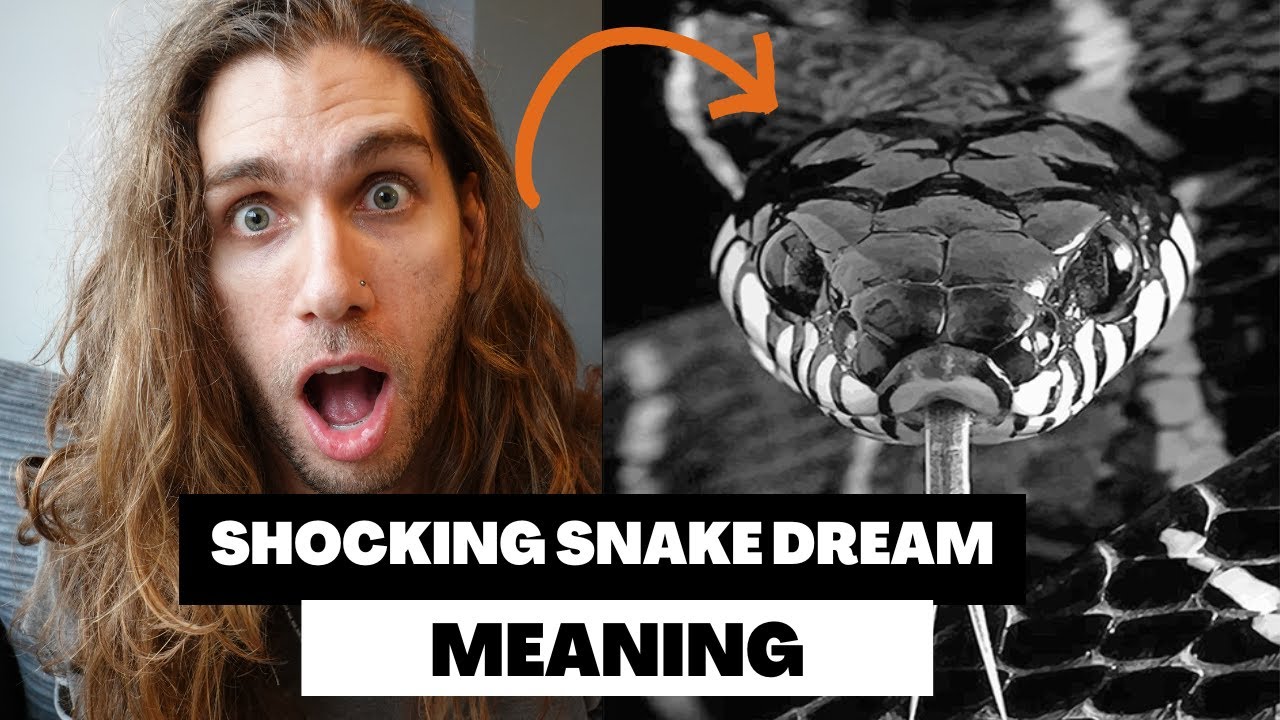 Unveiling Snake Dreams: Decoding the Misunderstood Sign - YouTube