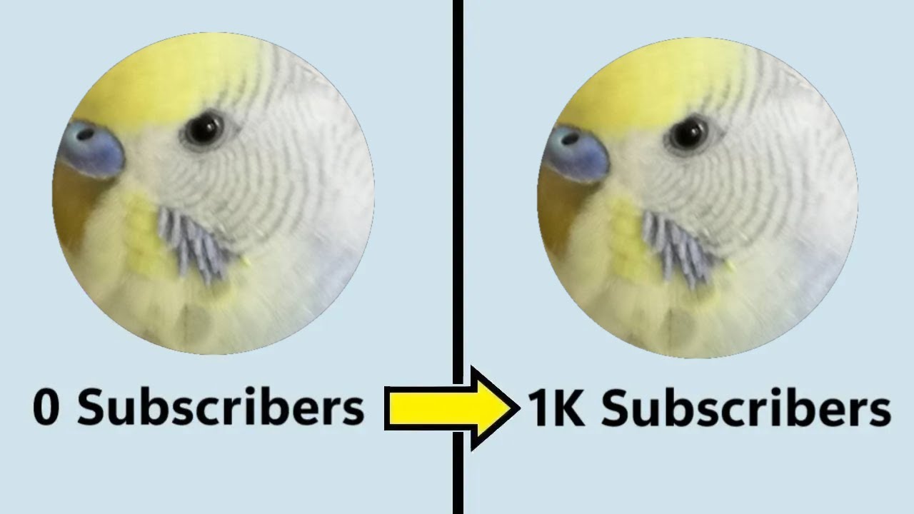 0 Subscribers To 1,000 Subscribers - YouTube