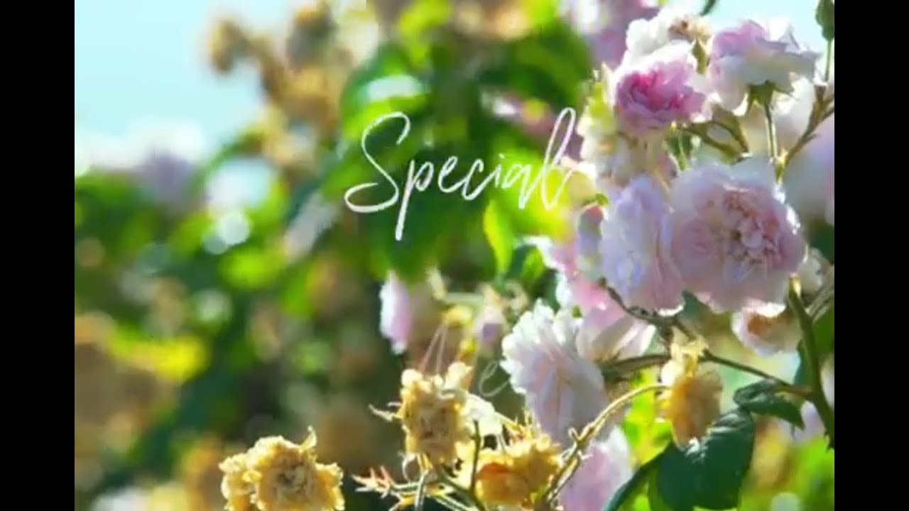 Joe Nance - Special (Short Music Video) - YouTube