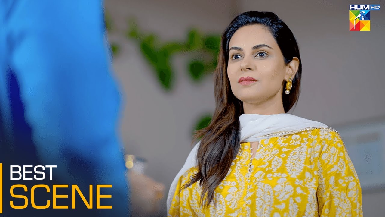 Kitni Girhain Baqi Hain - Episode 24 - [Bus Hostess] Best Scene 03 # ...