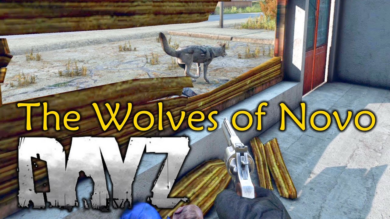 DayZ | The Wolves of Novo - YouTube