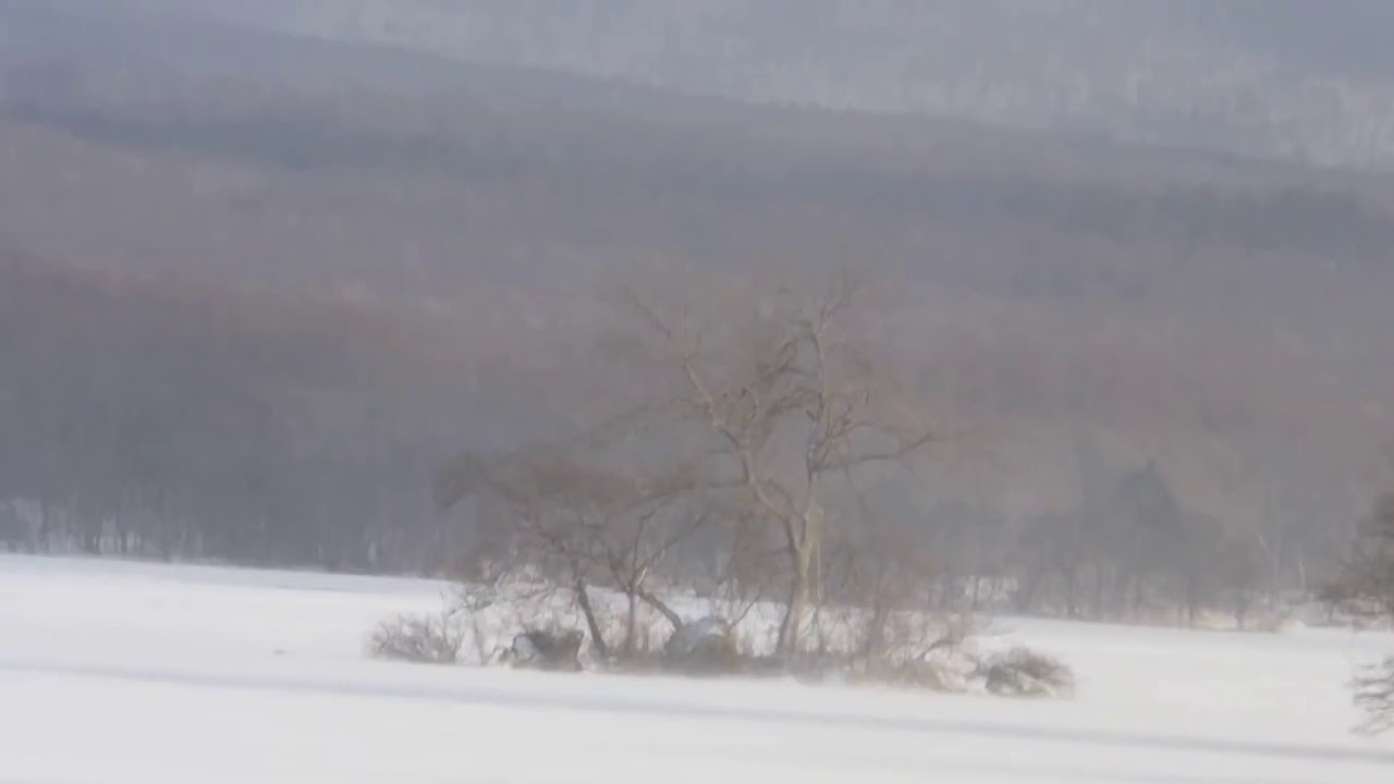 onuma park winter hakodate - YouTube
