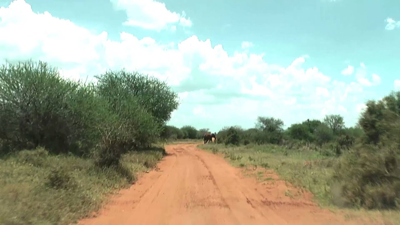 Laikipia plateau - Amazing landscape with lots of animals outside a ...