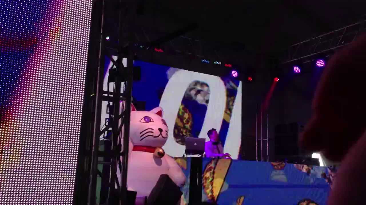 Dillon Francis - Bootleg Fireworks (Burning Up) @ Veld 2013 - YouTube