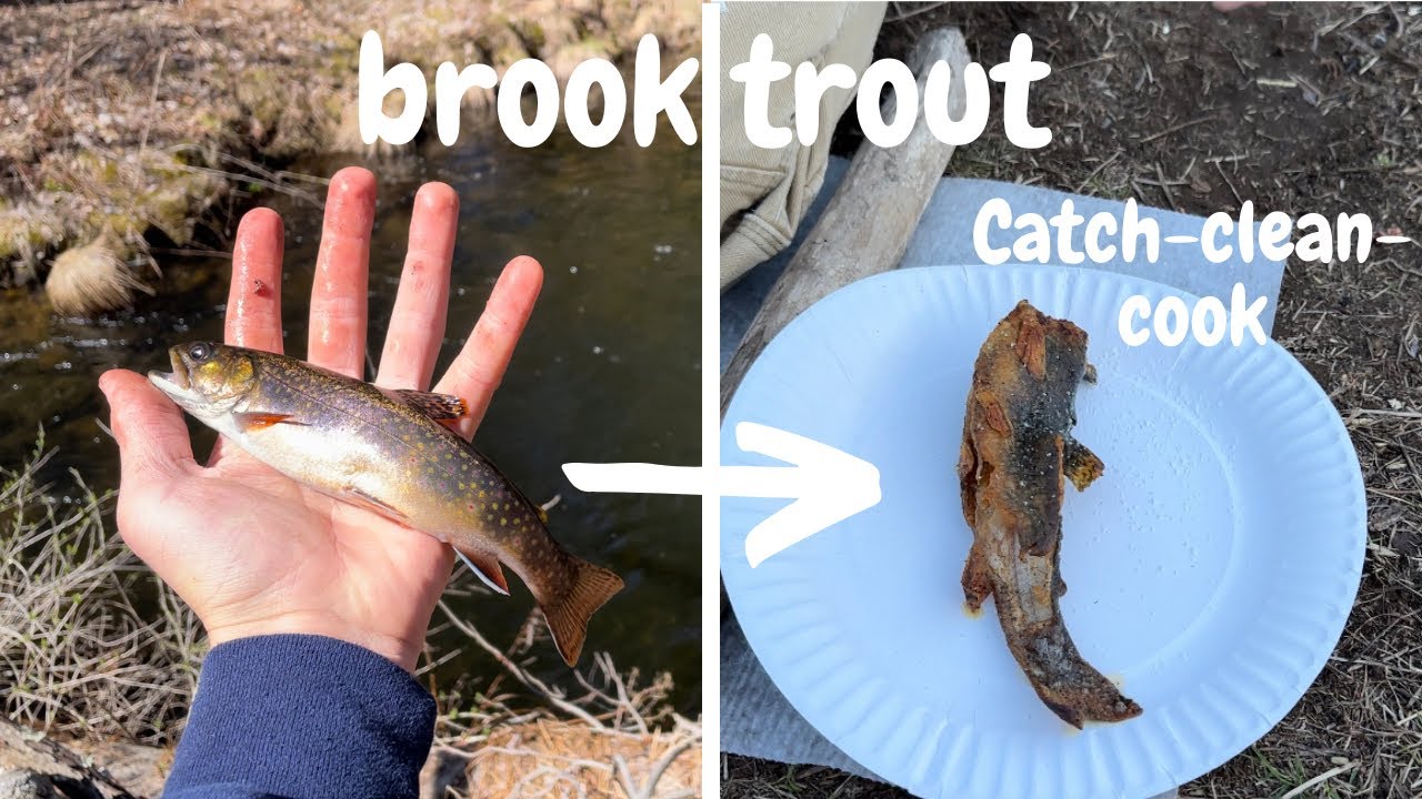Brook trout fishing (Catch-Clean-Cook - YouTube