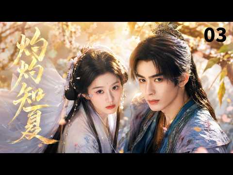 ENGSUB【灼灼知夏Summer Love】EP03|Song Weilong and Bao Shangen: Marriage of Convenience Turns into Love.