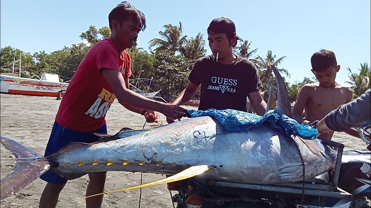 YELLOWFIN TUNA AND SQUID FISHING IN SABLAYAN - YouTube