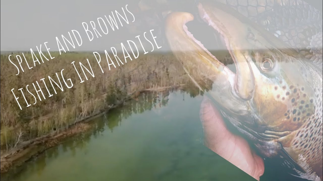 Fishing the Most Beautiful Lake in Sask - YouTube