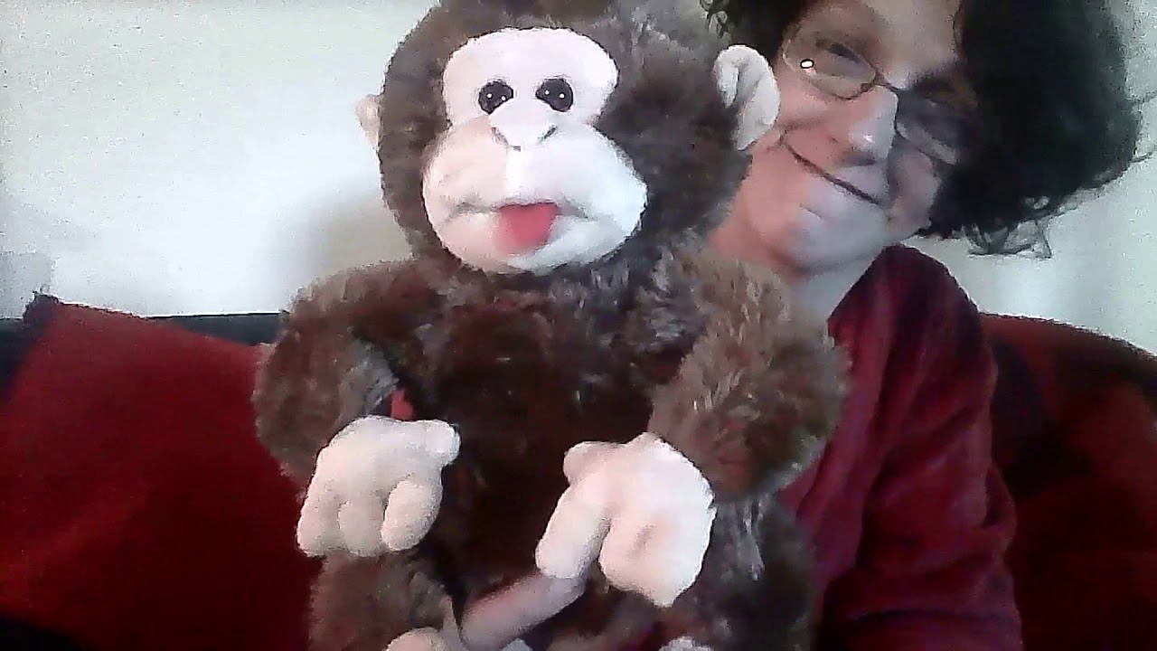 Funny Face Monkey - YouTube