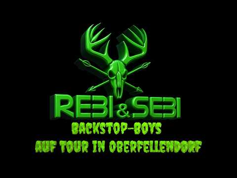 REBI & SEBI - die falschen \