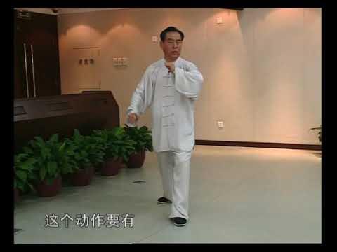 Yang-style Taijiquan 85 postures Lecture 11/21 - YouTube
