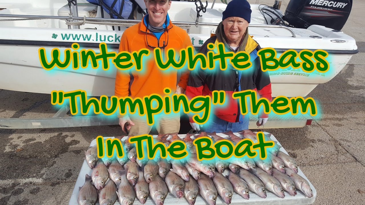 Winter White Bass Fishing Bobo's Thumper - YouTube