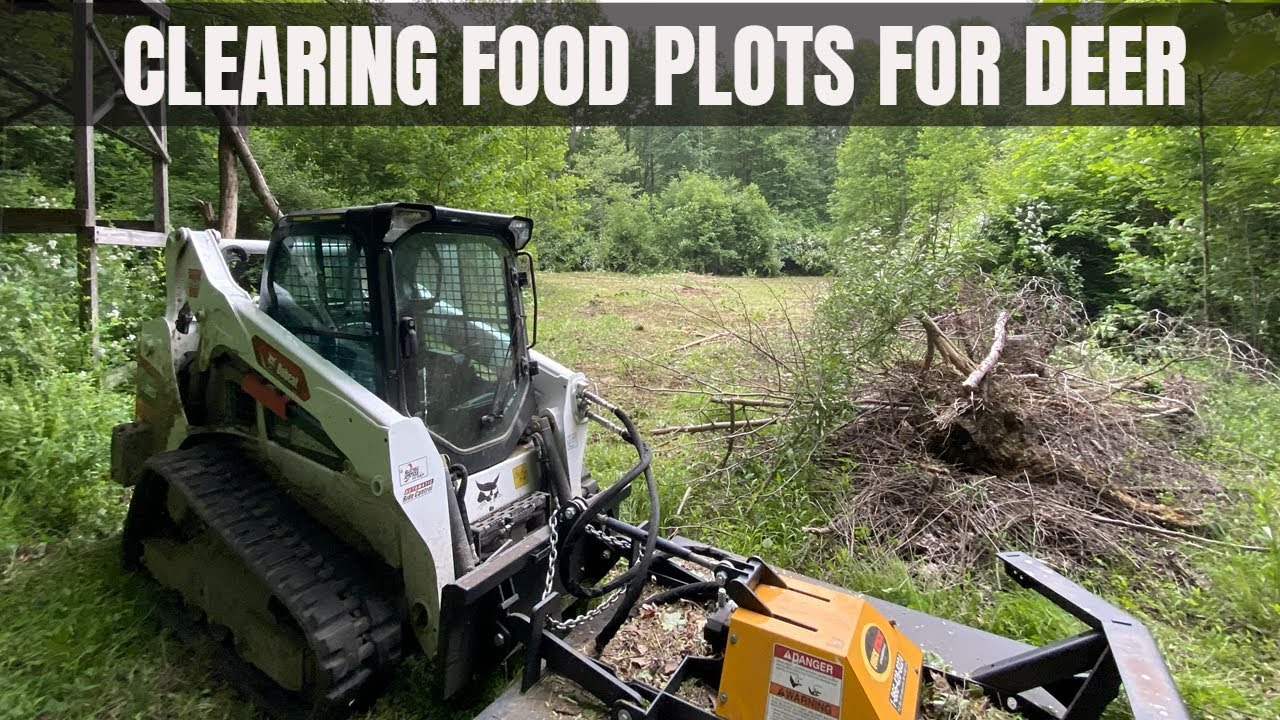 Clearing Food Plot With Skid Steer - YouTube