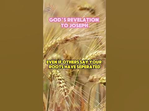 God's Revelation To Joseph | Pastor Beril Thomas | The Exalters Church - YouTube