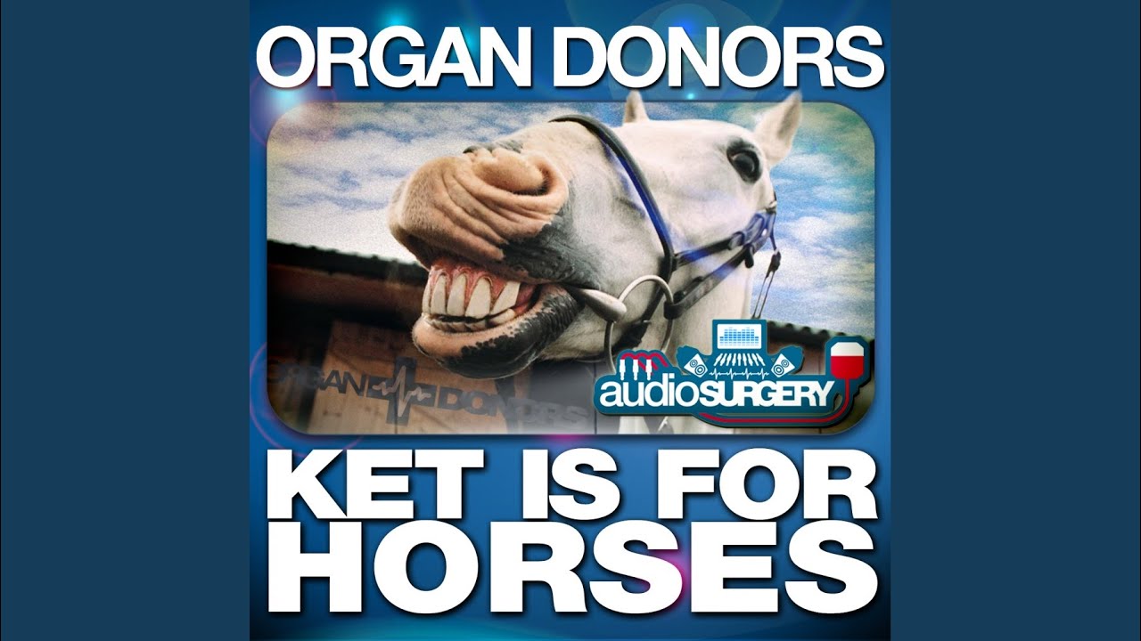 Ket Is for Horses (Original Mix) - YouTube Music