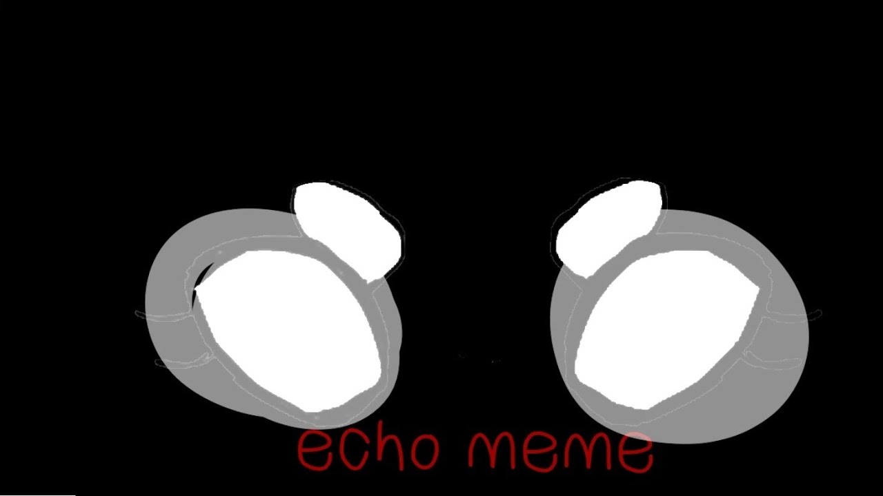 Echo meme (flash and blood warning)(Read description if you want) - YouTube