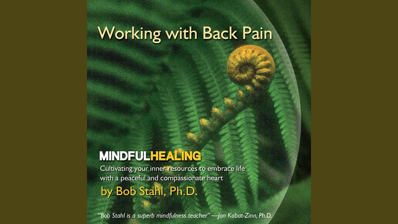 Guided Meditation for Back Pain - YouTube