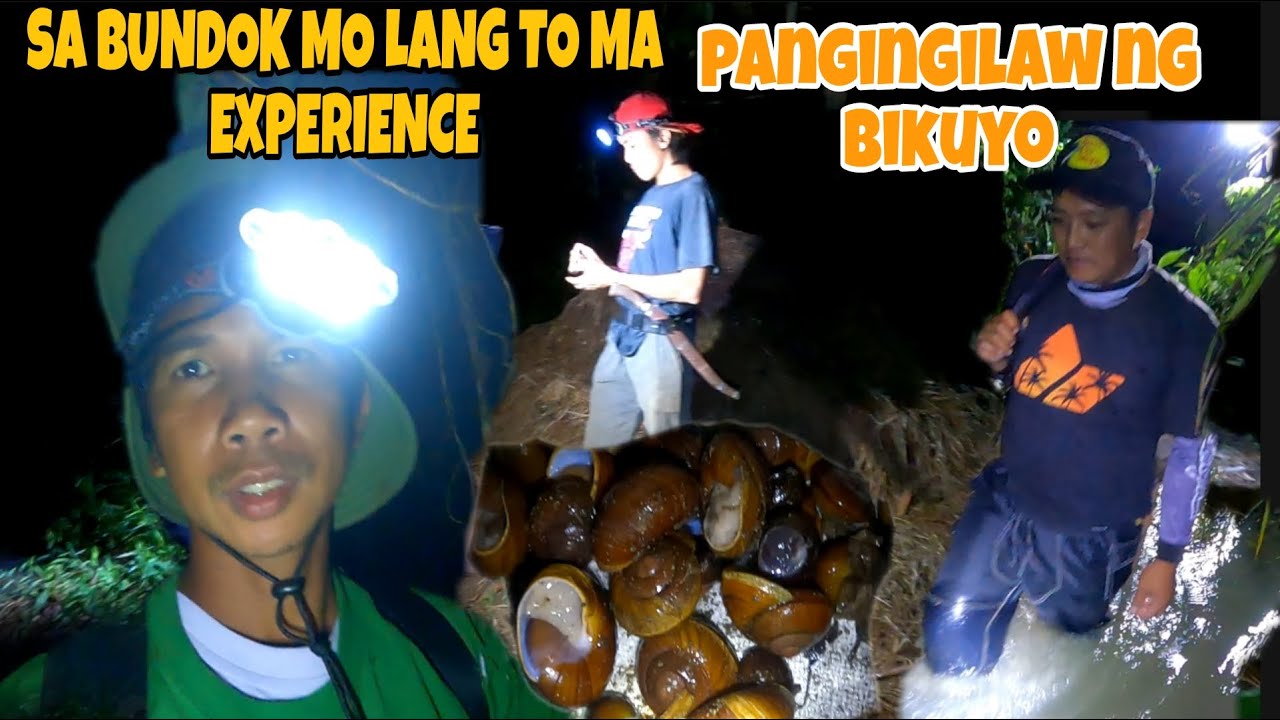 subrang saya ng experience sa pangingilaw ng bikuyo - YouTube