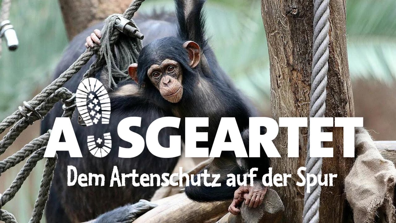 AUSGEARTET - Folge 19: Mit Daniel Geissler auf den Spuren der ...