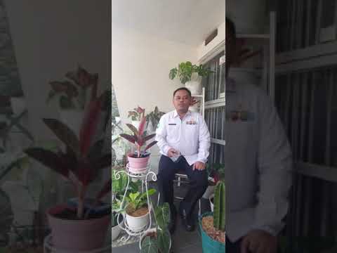 Video Profil Piqhi Rizqi-PNS Provinsi Jawa Barat