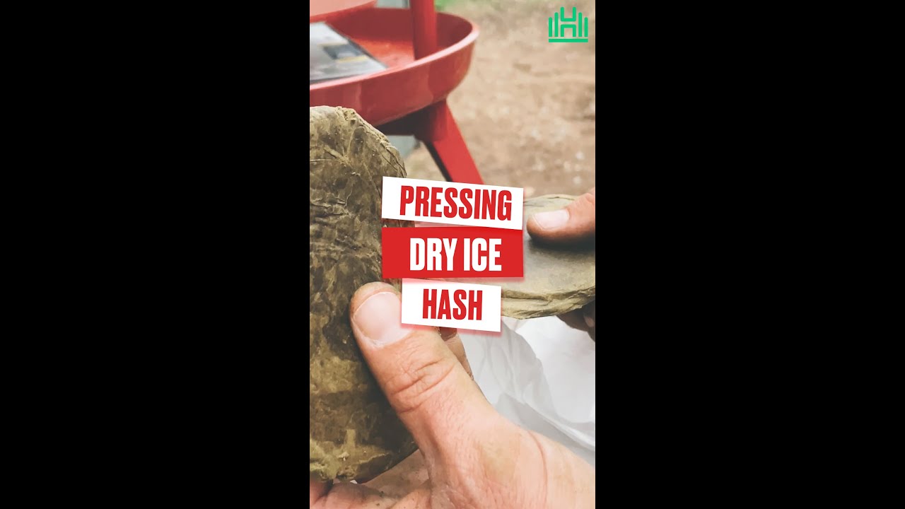 DIY Pressed Hash - YouTube
