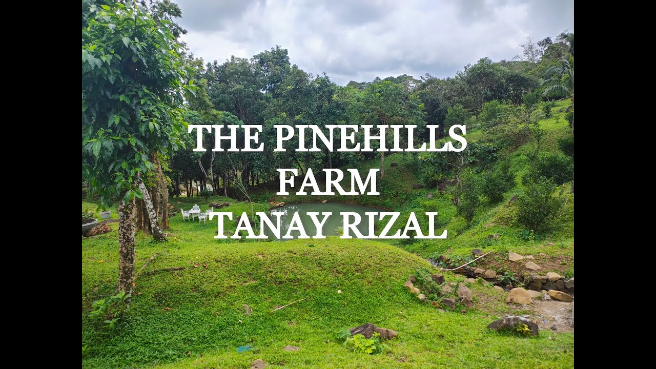 Saan ba pwedeng mamasyal? Try nyo dito... The Pinehills Farm @ Tanay ...