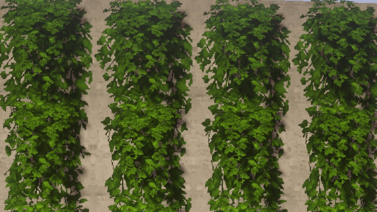 1 Bit 2 Bit 4 Bit 8 Bit 16 BIT 32 Bit 128 Bit 256 Bit 512 Bit 1024 Bit 2048 Bit 4096 Bit VINE ...