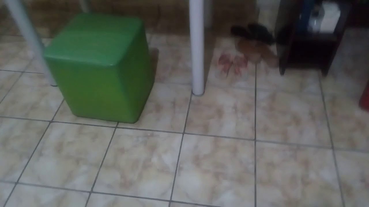 Ummm muito bom 🌽🌽👍 - YouTube