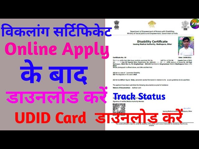 Unique Disability ID Card Kaise Banye, UDID Card Apply,, 42% OFF