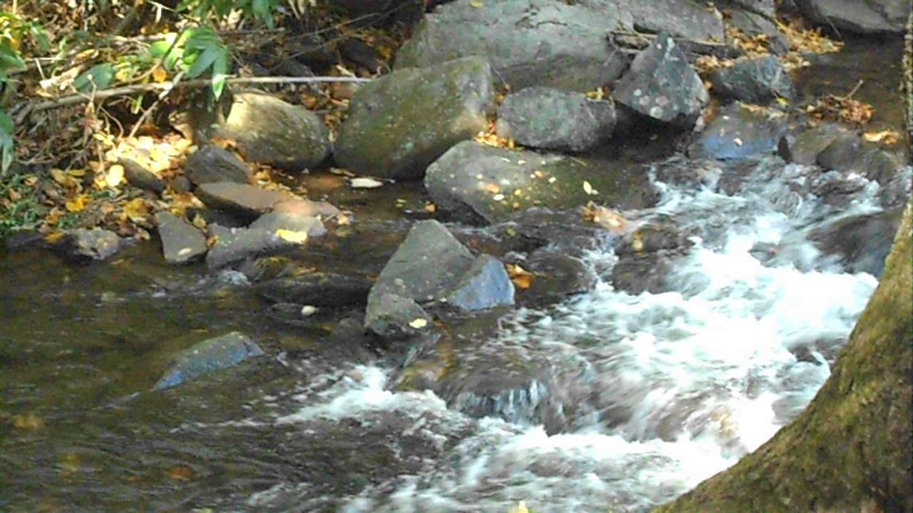 Lake Susan dam and spillway - YouTube