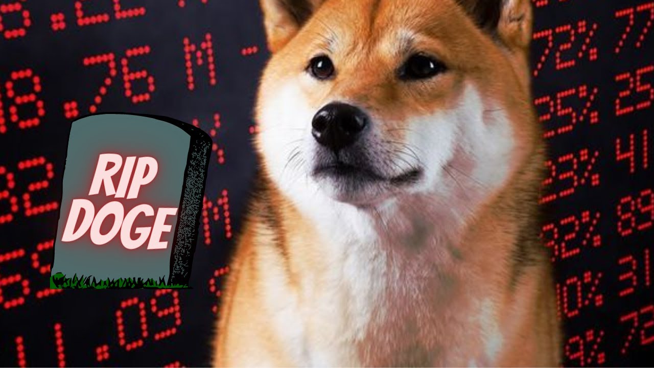 RIP DOGE COIN | MEME COMPILATION - YouTube