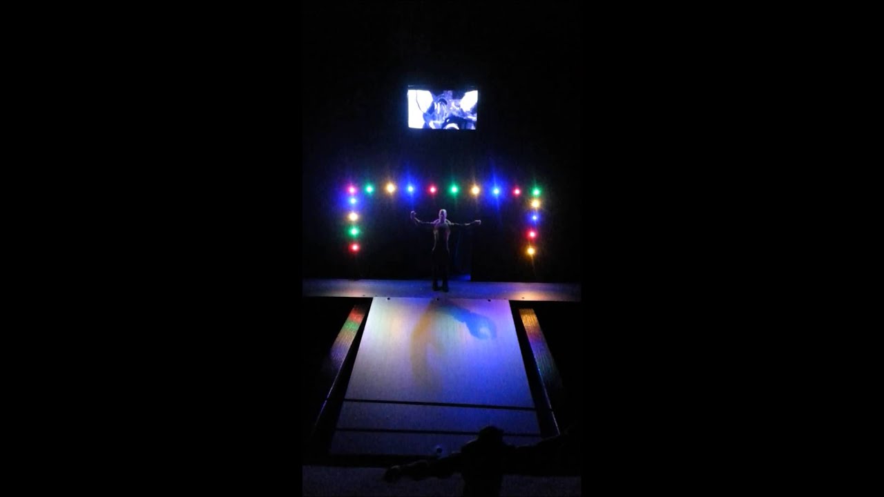 Homemade custom Elite Scale WWE Ring and arena for Mattel Wrestling ...