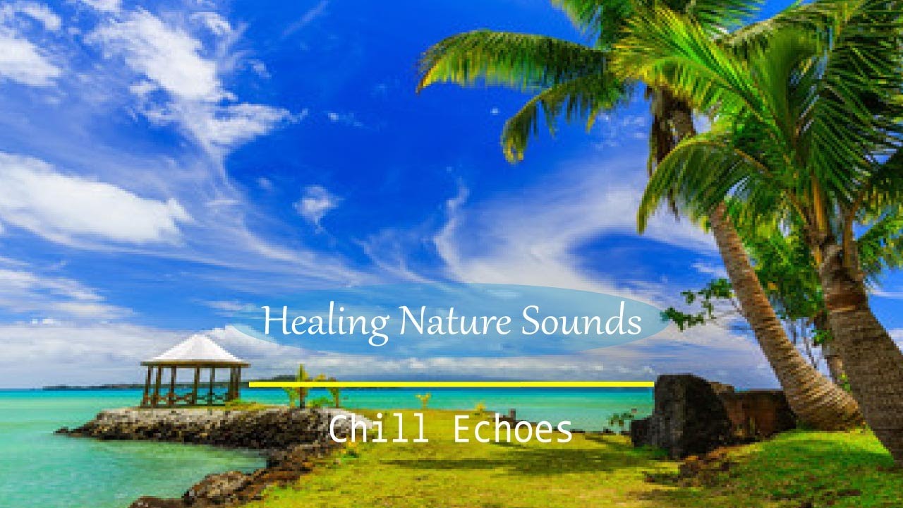 Healing Nature Sounds, Relaxing Meditation Music, Nature Relaxation ...