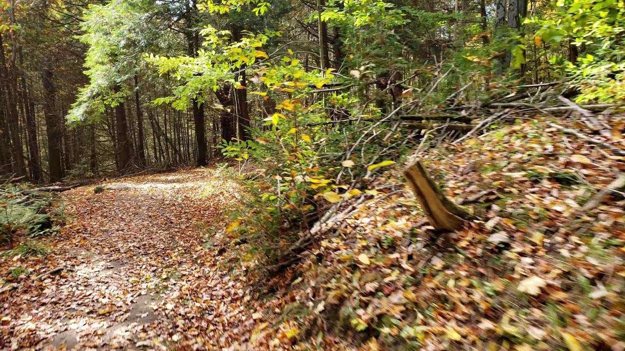 Beautiful Fall 2018 at Scanlon Creek Conservation Area - Lake Simcoe ...