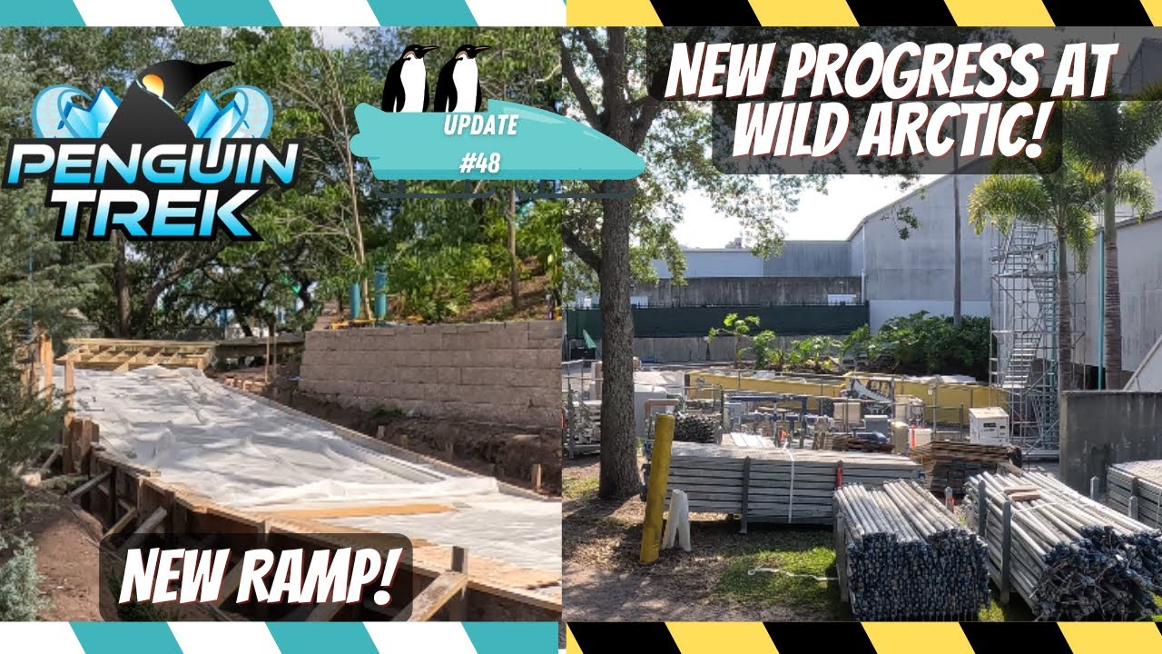 Scaffolding going up at Wild Arctic! | Penguin Trek Construction Update 48 - YouTube