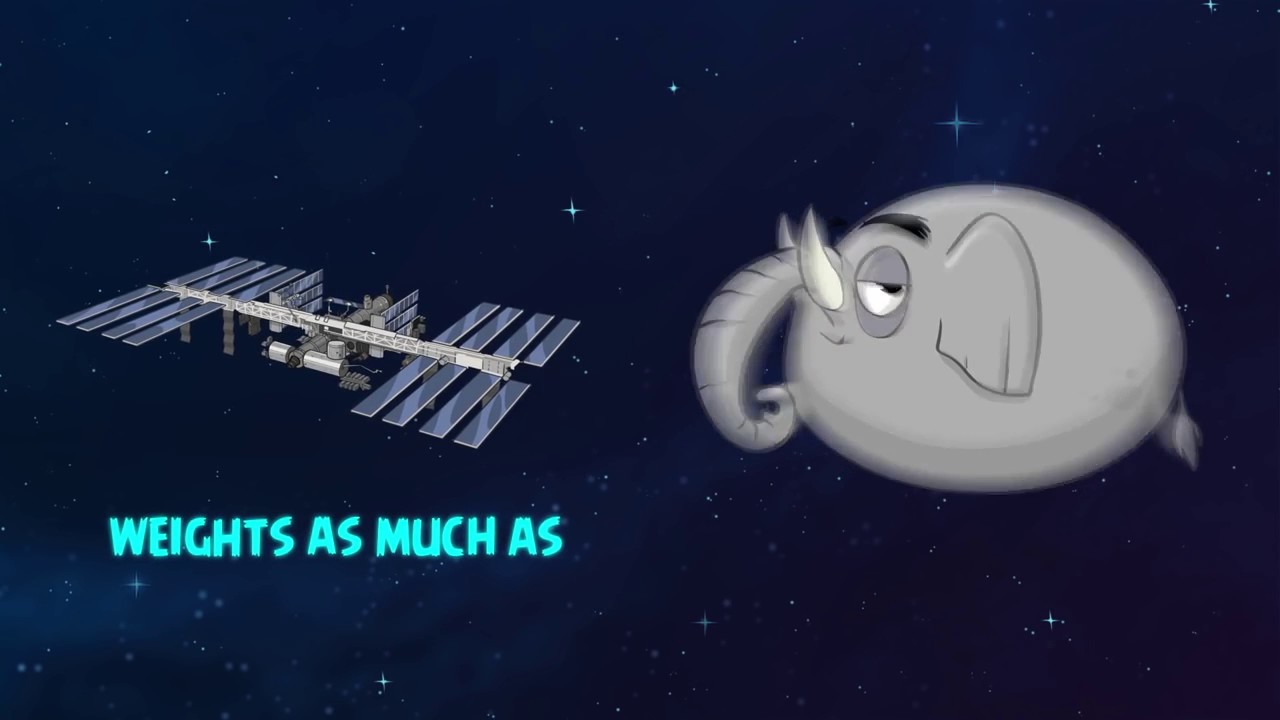 Angry Birds | Rocket Science Show - ISS - YouTube