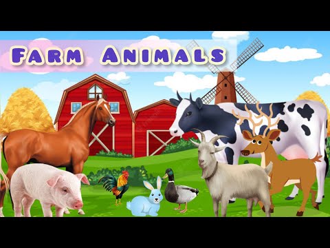 Belajar Membaca| Membaca| Belajar Membaca Anak Tk, Paud, Sd | Little Abbi