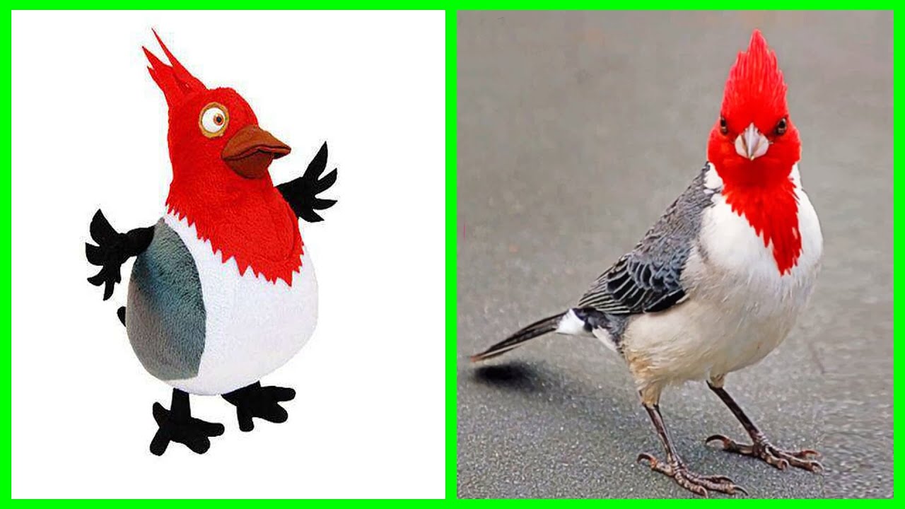 Rio Characters In Real Life - YouTube