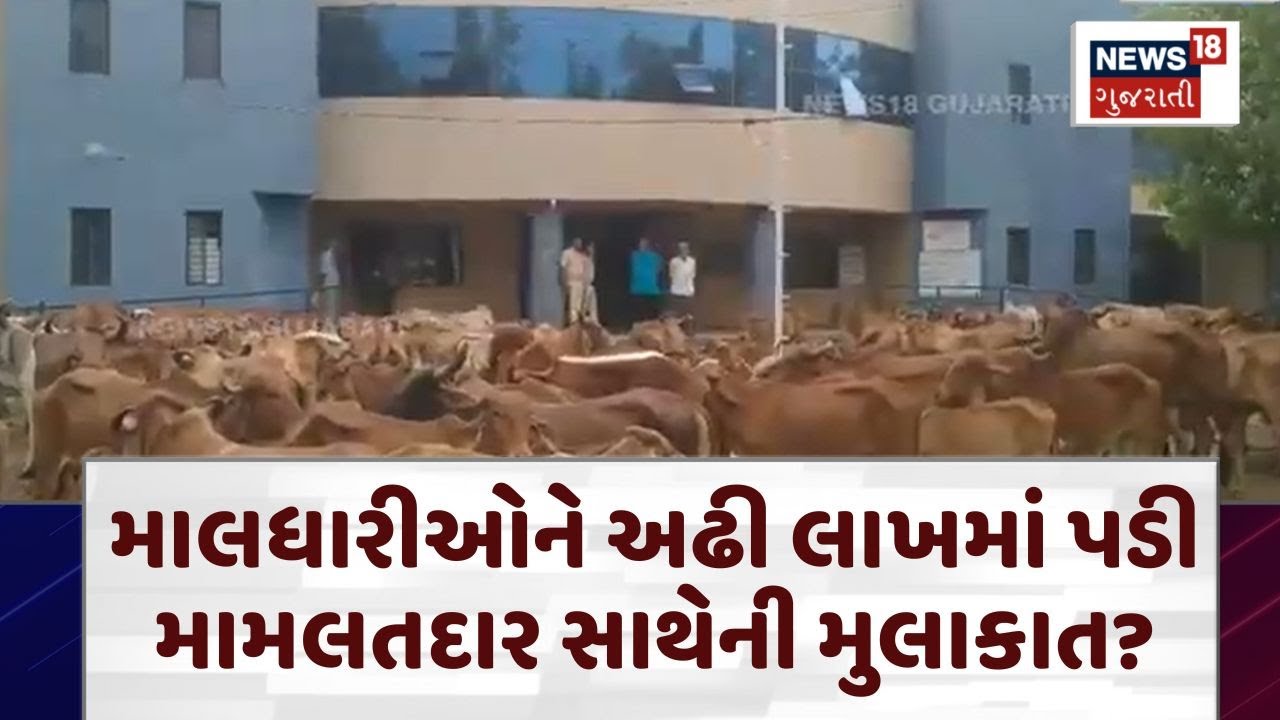 Junagadh News | માલધારીઓને અઢી લાખમાં પડી મામલતદાર સાથેની મુલાકાત ...