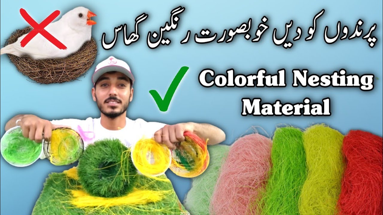 Colorful Fancy Nesting Material | Finch Nest Dove Nest Pigeon Nest Parrot Nest - YouTube