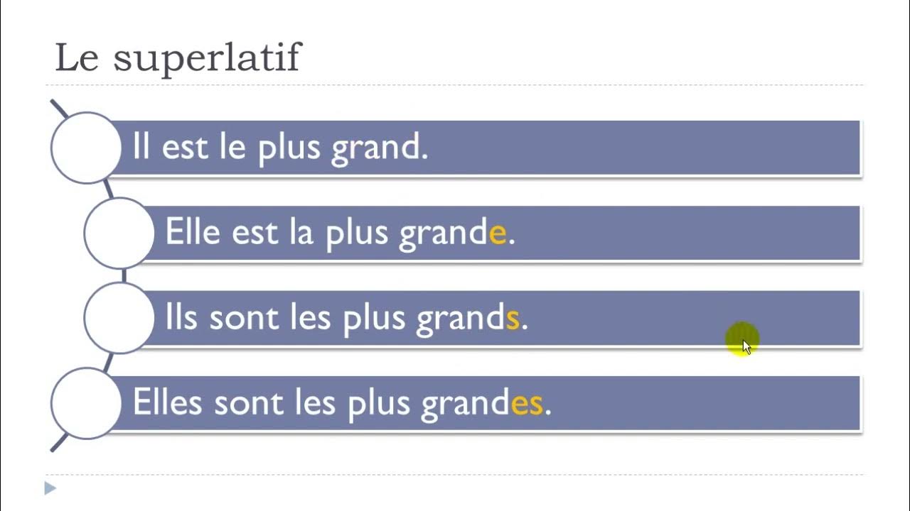Learn French in 5 days I Learn French Grammar I The superlative - YouTube