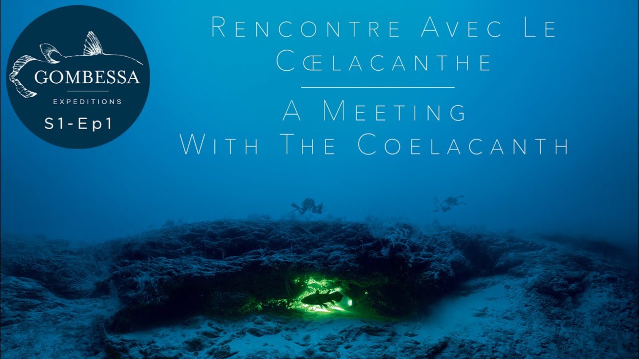 Gombessa I - Rencontre avec le Coelacanthe - Ep01 - - YouTube