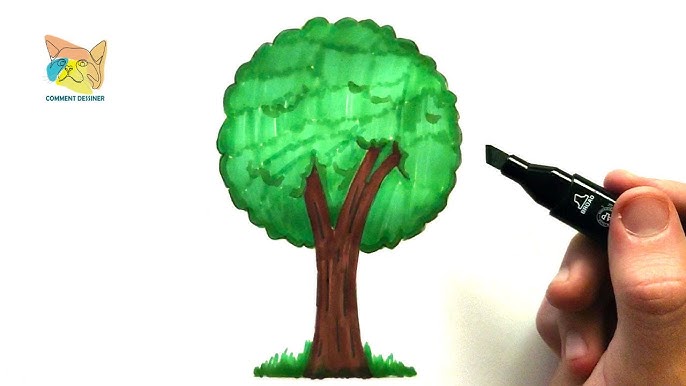 Comment Dessiner Un Arbre 5 étapes Pour Dessiner Le Feuillage D'un