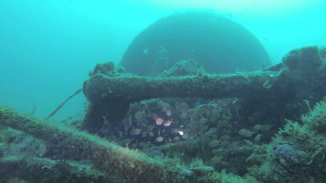 SS Bombo Wreck Dive - YouTube