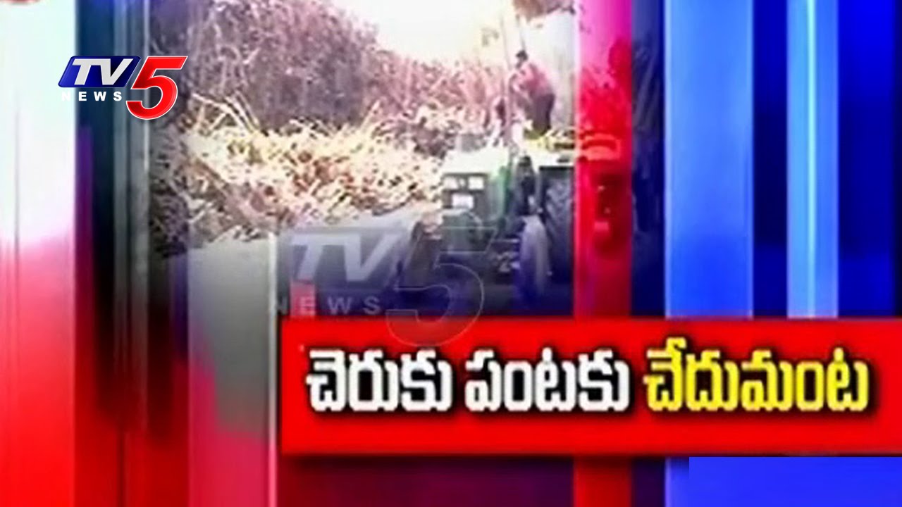Reason For Bodhan Sugar Factory Lockdown | TV5 Special Story | TV5 News ...