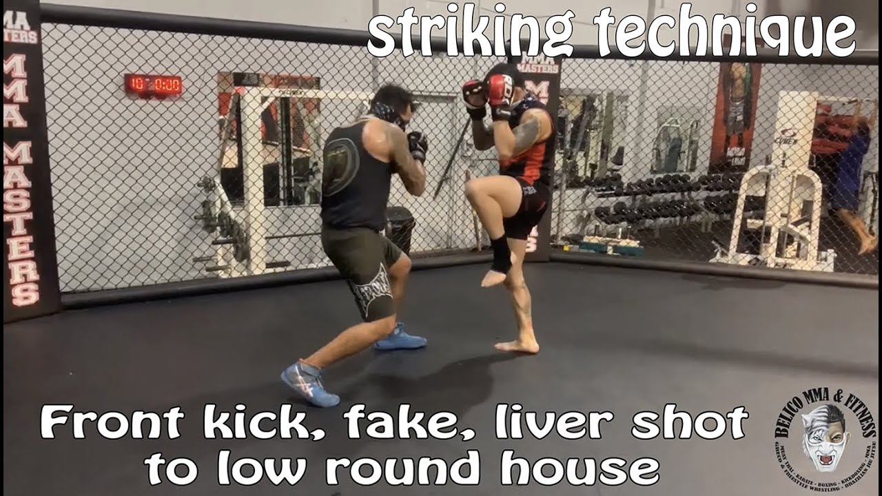 Striking combos front kick, fake, liver shot and low round house | Edir ...